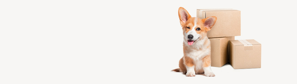 Paketversand, Sperrgut und Spedition | iloxx.de